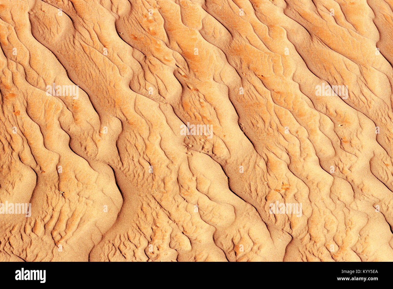 Sand structures, Sossusvlei, Namib-Naukluft National Park, Namib Desert ...