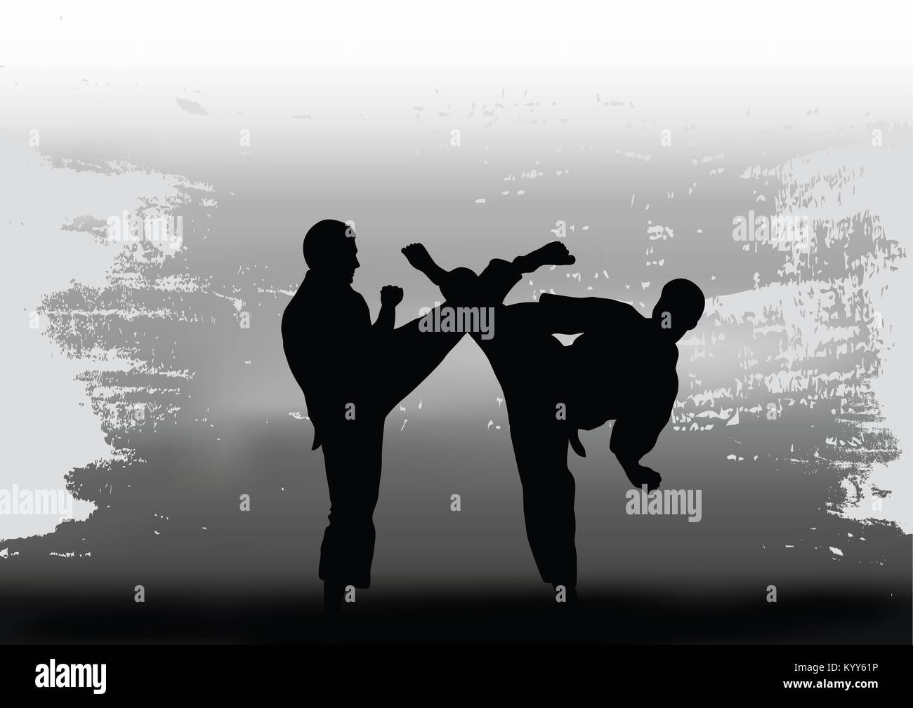 Two men demonstrate karate Stock Photo - Alamy