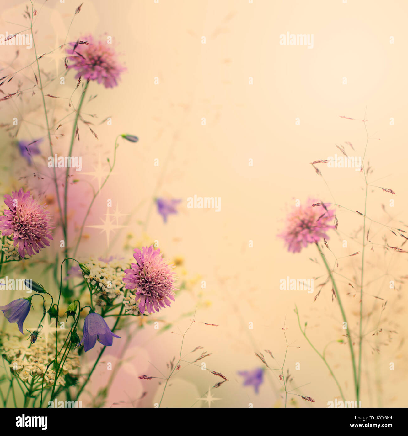 Gentle color floral background with flowers Stock Photo - Alamy