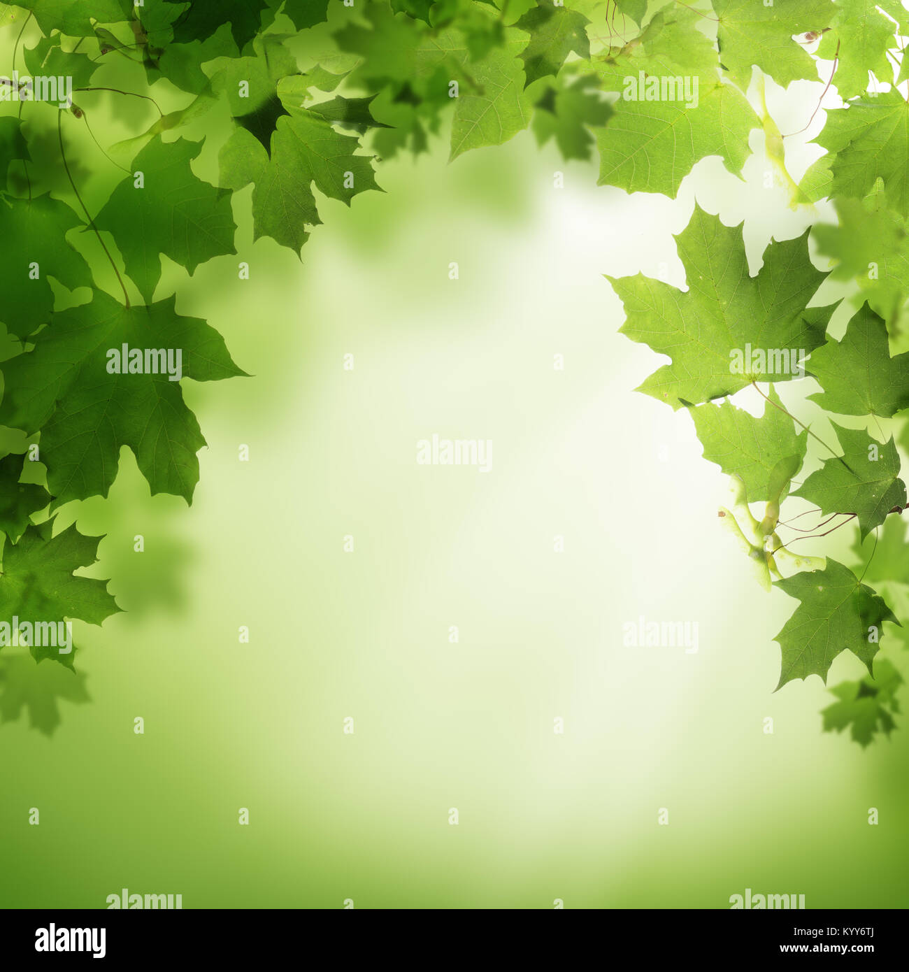 Abstract green nature background Stock Photo - Alamy
