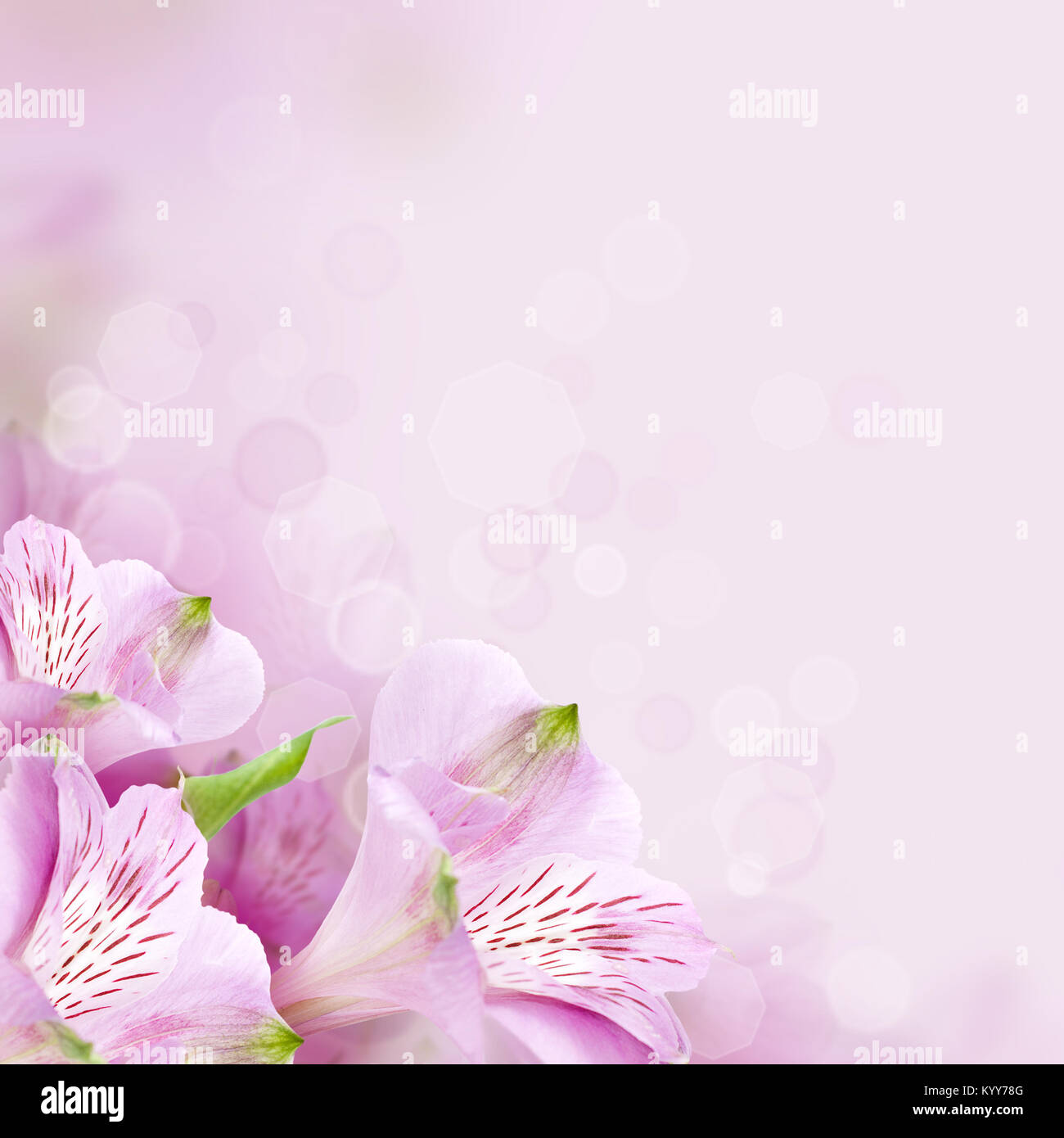 Flowers background, beautiful spring nature Stock Photo - Alamy