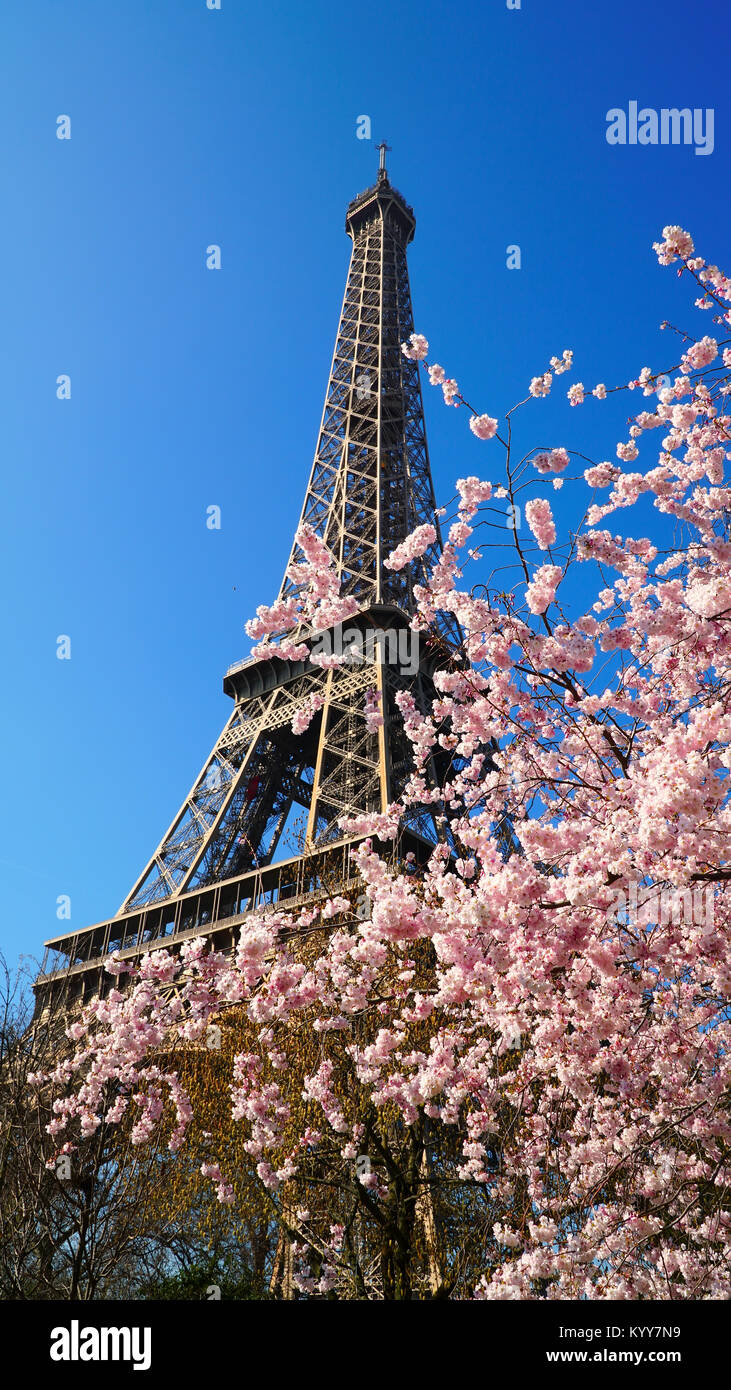 Eiffel Tower in spring time, Paris, France Stock Photo - Alamy
