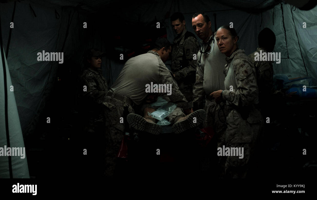 Sailor LCDR Tyler Ensley, left, an emergency medicine physician and LT ...