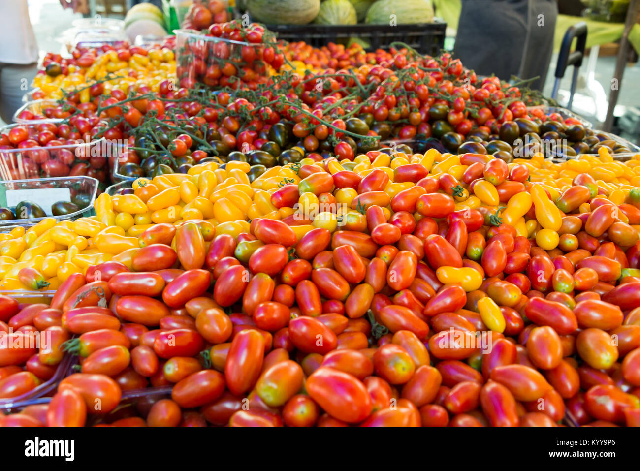 Israel cherry tomatoes hi-res stock photography and images - Alamy