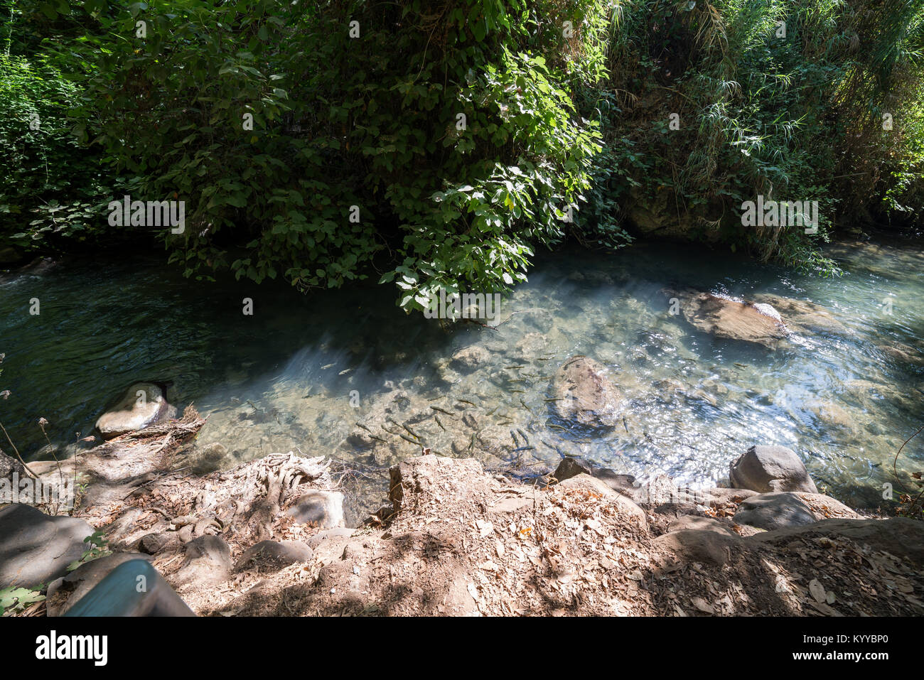 Visiting Banias Nature Reserve in Northern Israel Stock Photo - Alamy