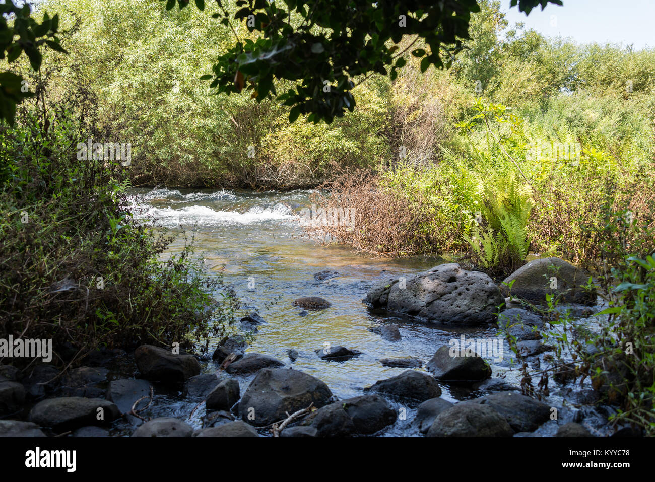 Tel dan nature reserve israel hi-res stock photography and images - Alamy
