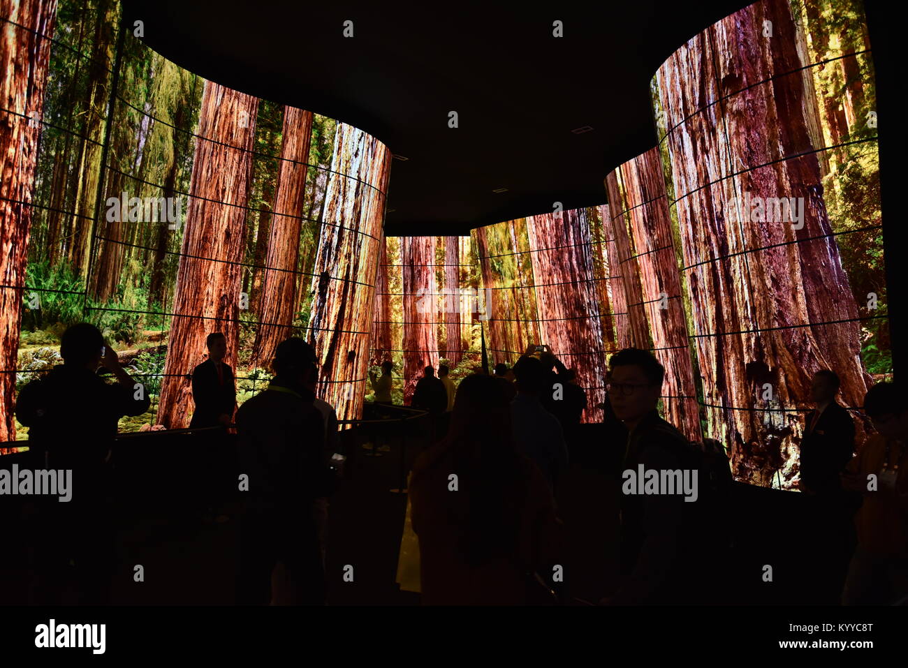 LG Electronics OLED 92-ft-long "canyon display" of TVs at CES (Consumer ...