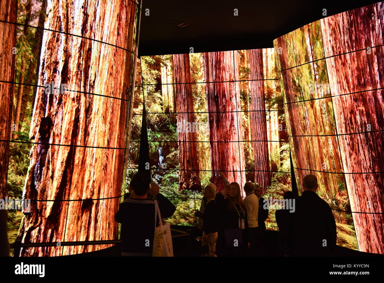 Oled tv lg hi-res stock photography and images - Alamy