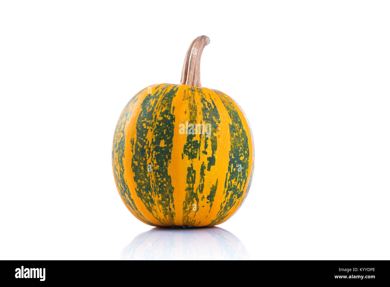 Pumpkin isolated on white background Stock Photo - Alamy