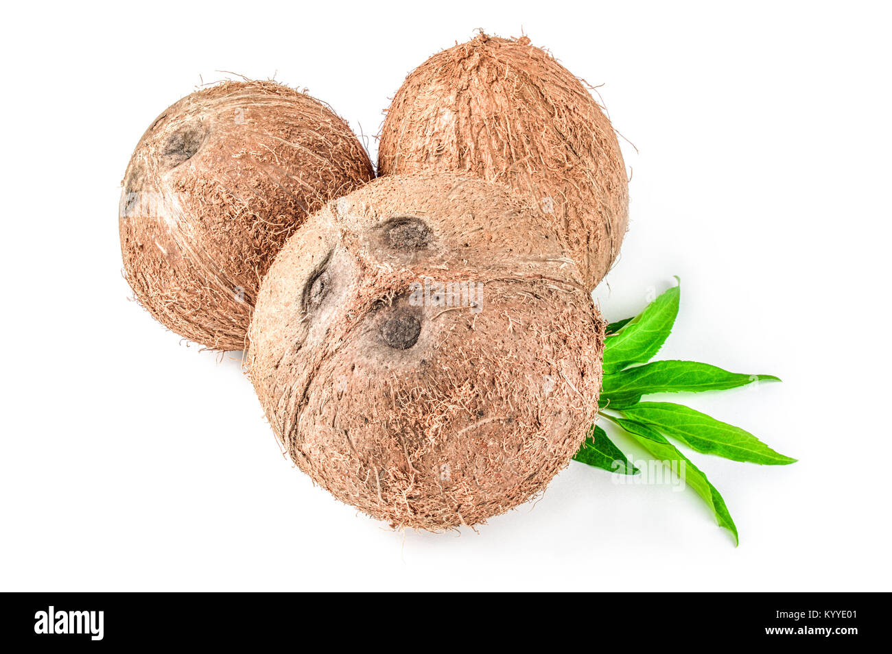 Coconut isolated on a white background cutout Stock Photo - Alamy