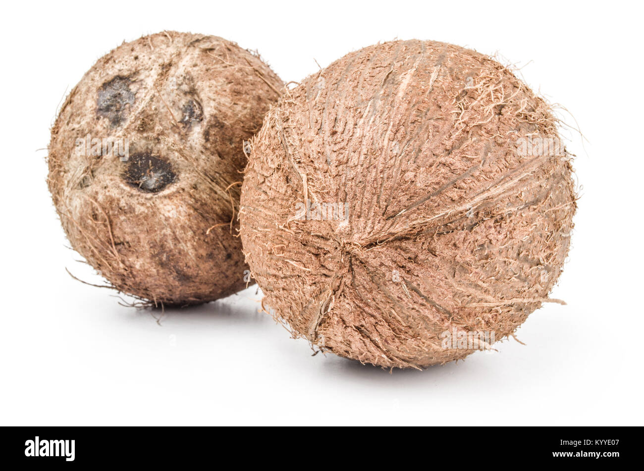 Coconut on a white background cutout Stock Photo - Alamy