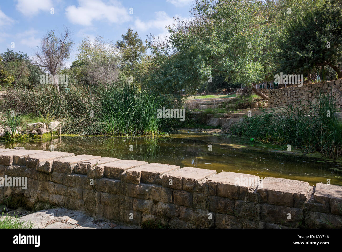 Ein hemed aqua bella hi-res stock photography and images - Alamy