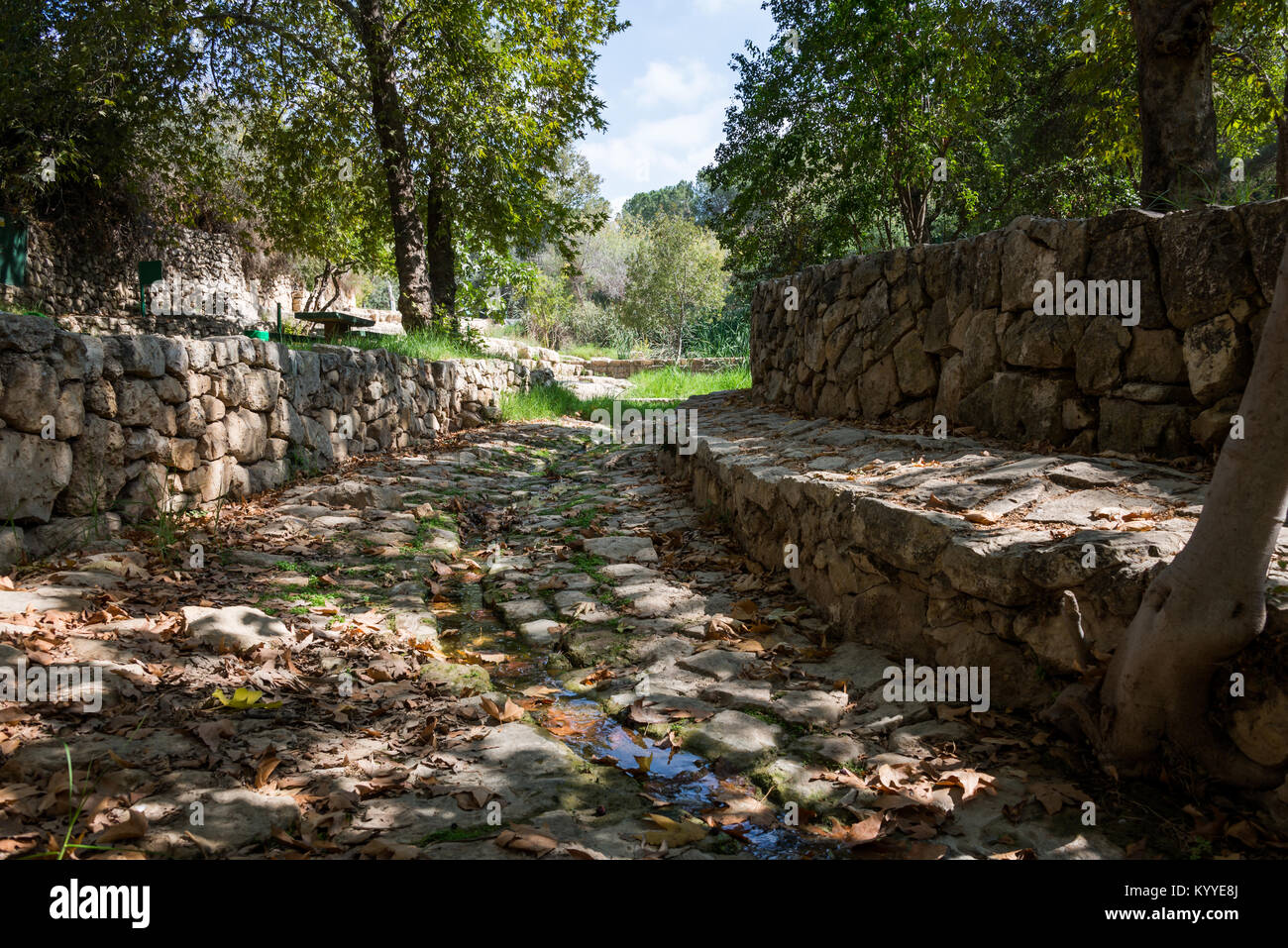 Ein hemed aqua bella hi-res stock photography and images - Alamy