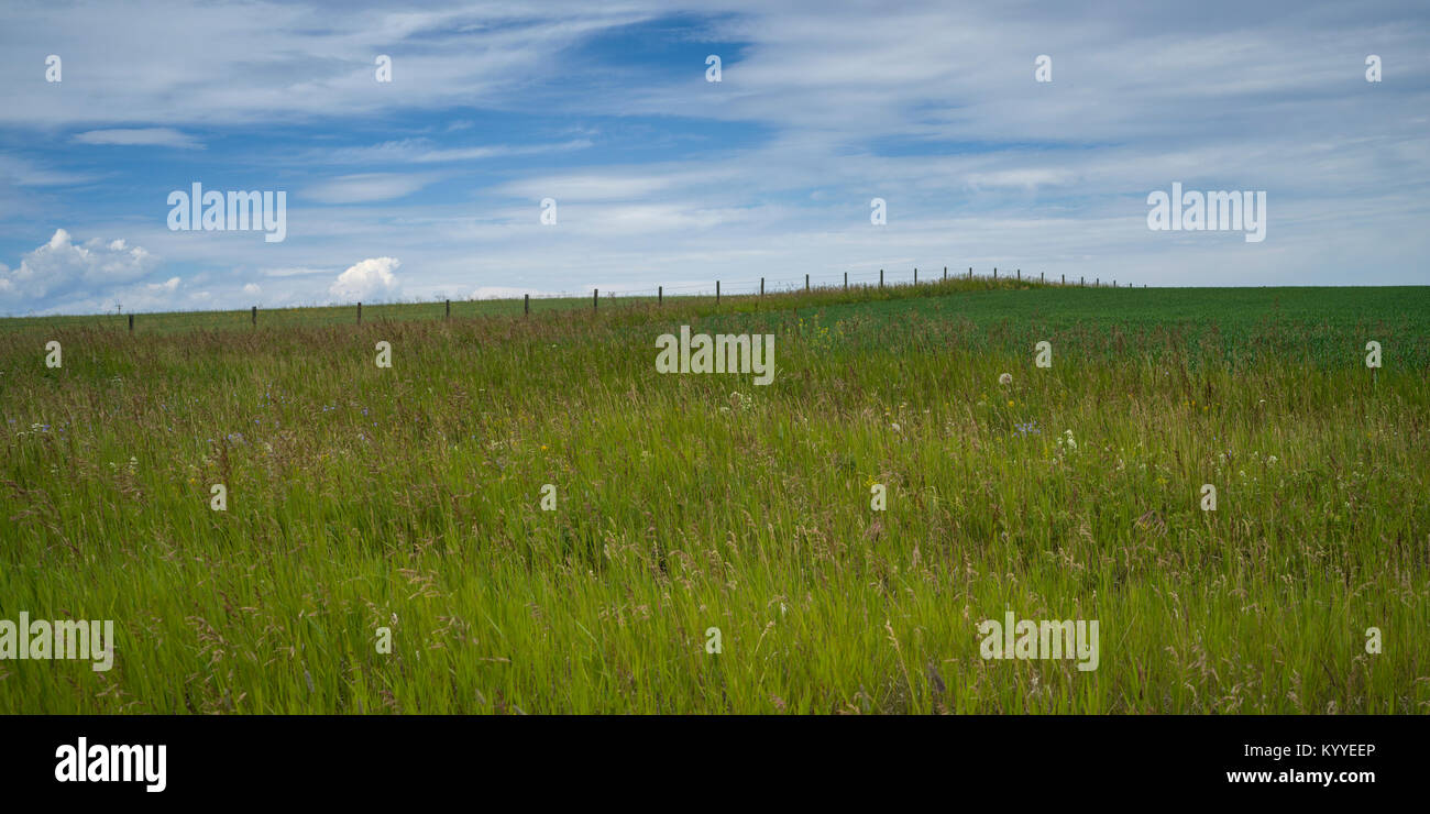 Longview alberta hi-res stock photography and images - Alamy