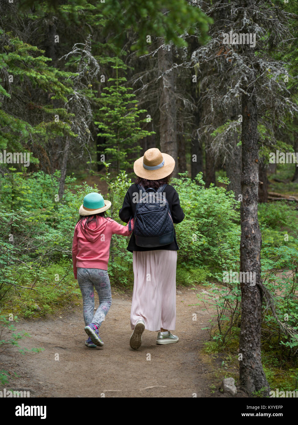 Woman walking on trail in forest with daughter, Alberta, Canada Stock ...
