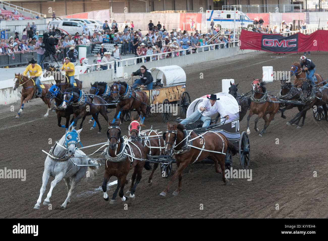 Chuckwagons racing during Calgary Stampede, Calgary, Alberta, Canada ...