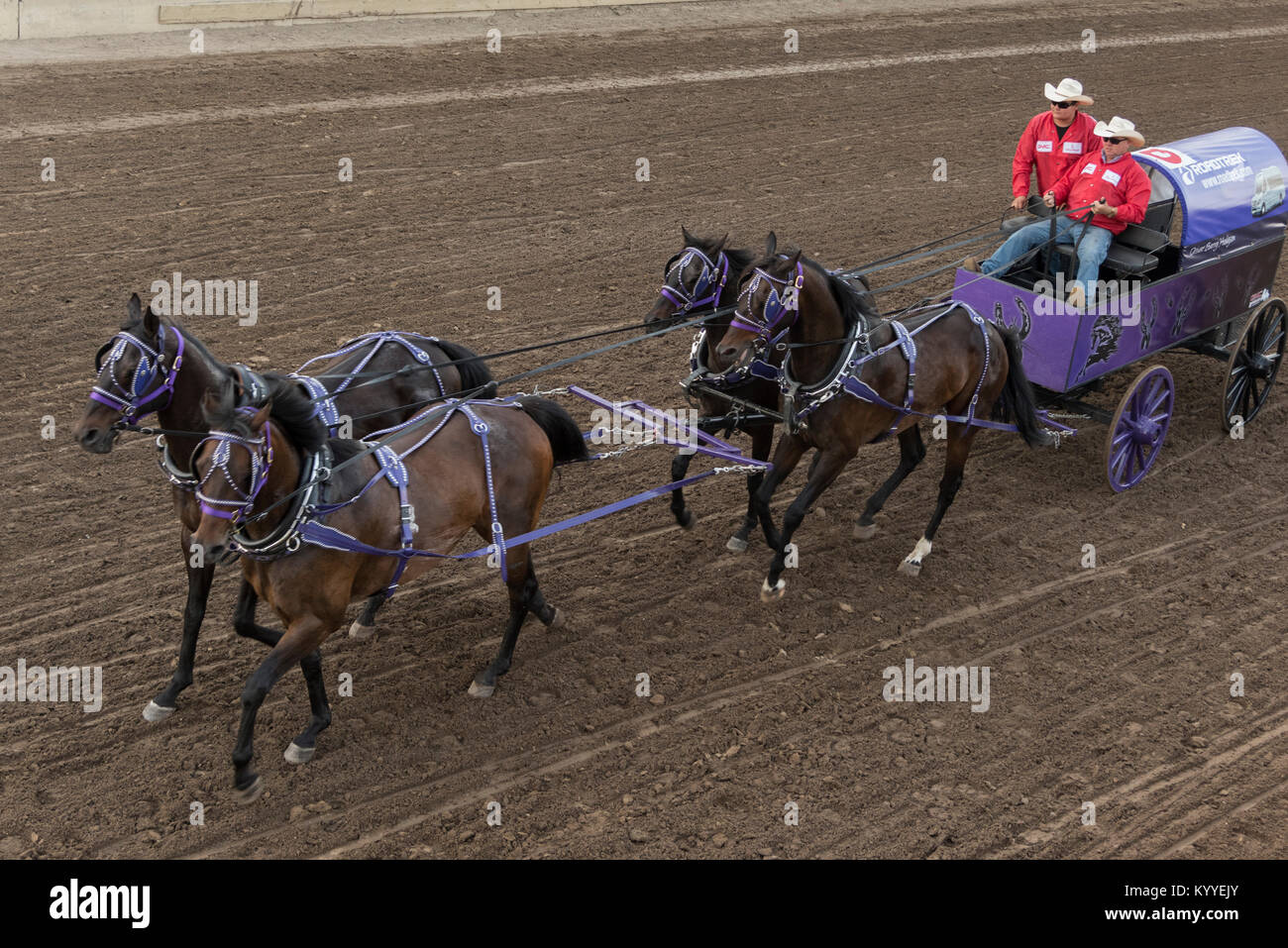 Horse cart racing america hi-res stock photography and images - Alamy