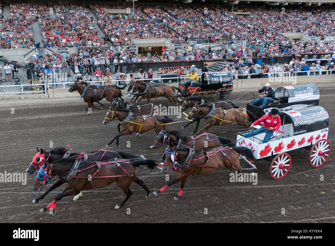Chuckwagons racing during Calgary Stampede, Calgary, Alberta, Canada ...