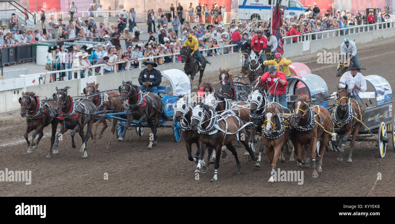 Horse cart racing america hi-res stock photography and images - Alamy