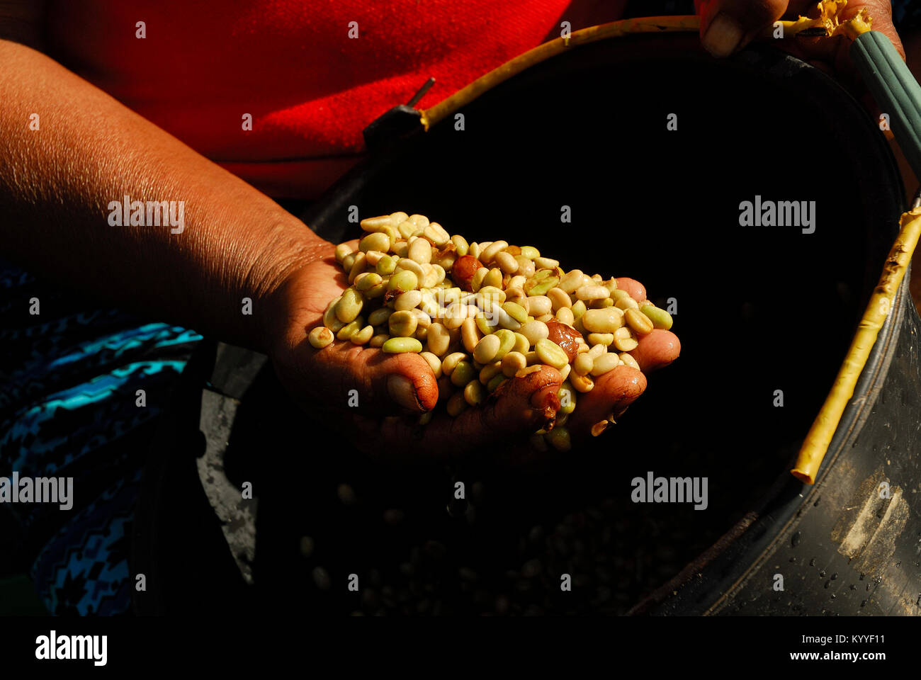Indonesia. 17th Jan, 2018. Robusta coffee demand in the local market ...