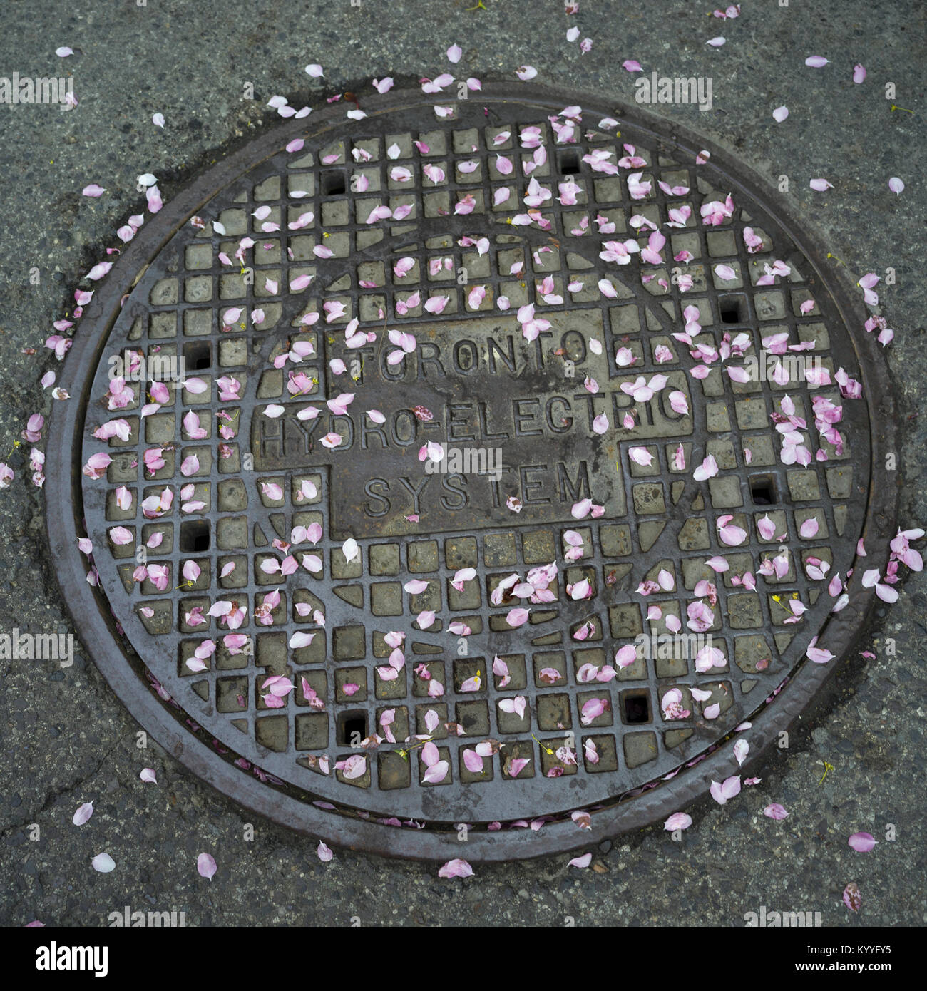 Canada manhole cover hi-res stock photography and images - Alamy