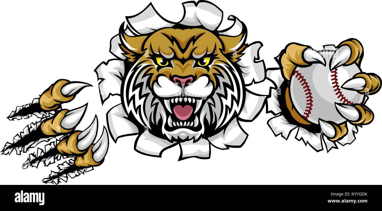 Wildcat Holding Baseball Ball Breaking Background Stock Vector Image ...