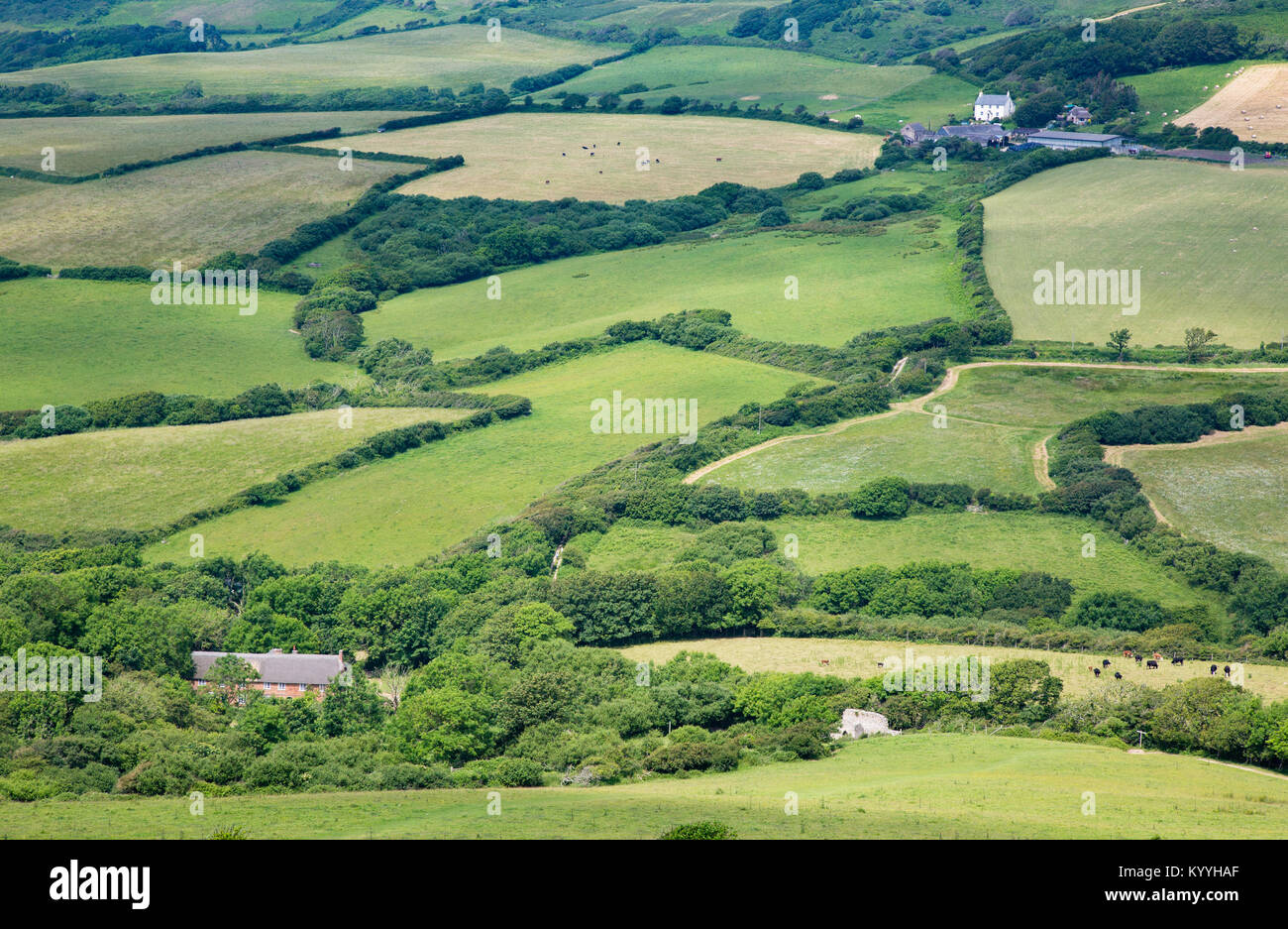 Patchwork of little fields and hedges in farmland near the coast of ...