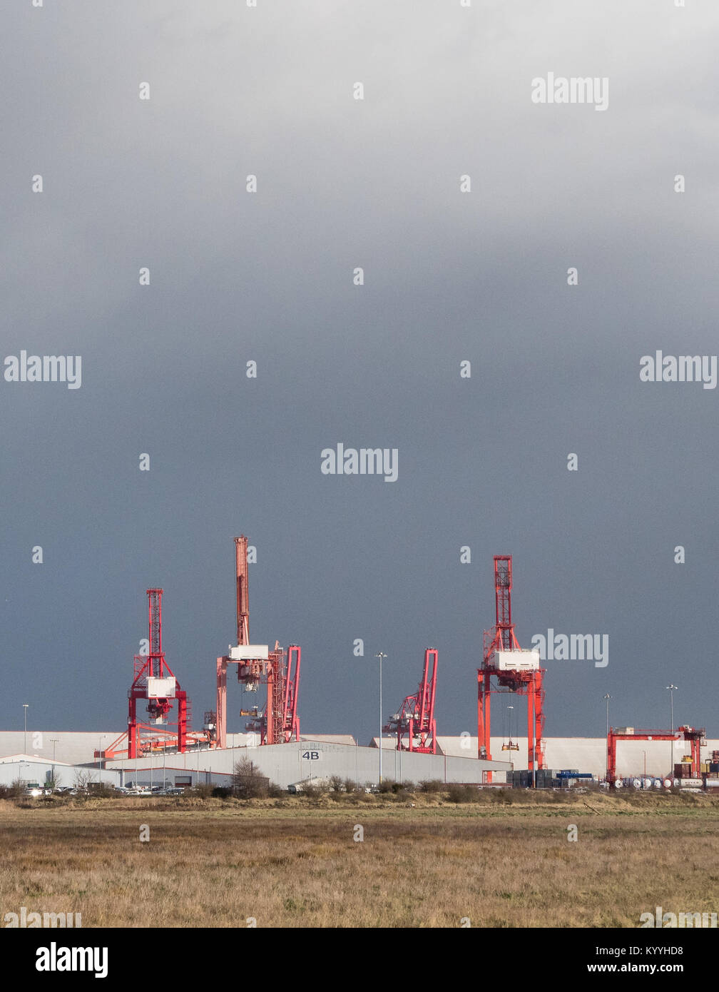 Container handling gantry crane hi-res stock photography and images - Alamy