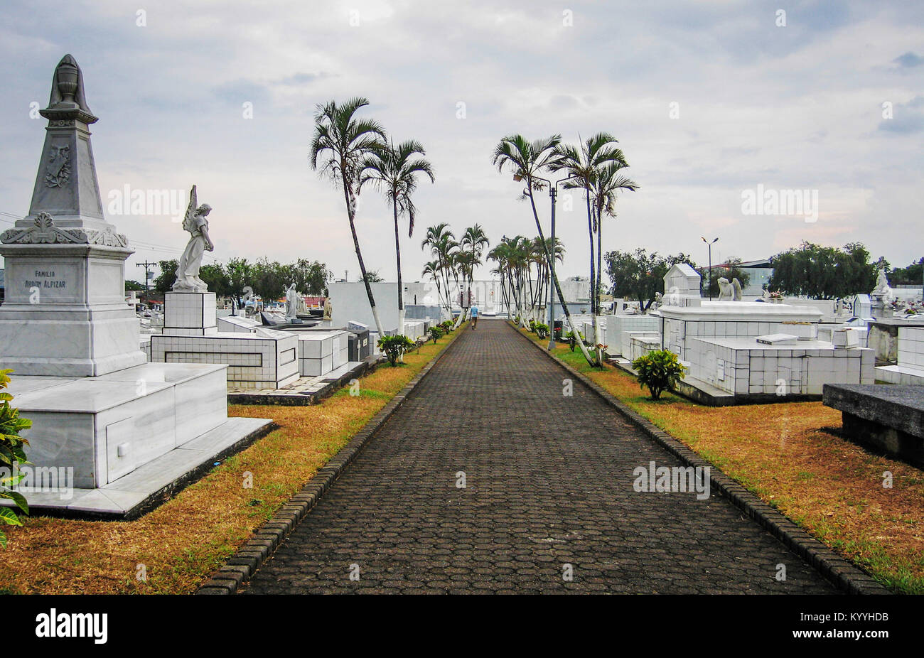 Cemetery with palm trees and figure walking along a path in the town of ...