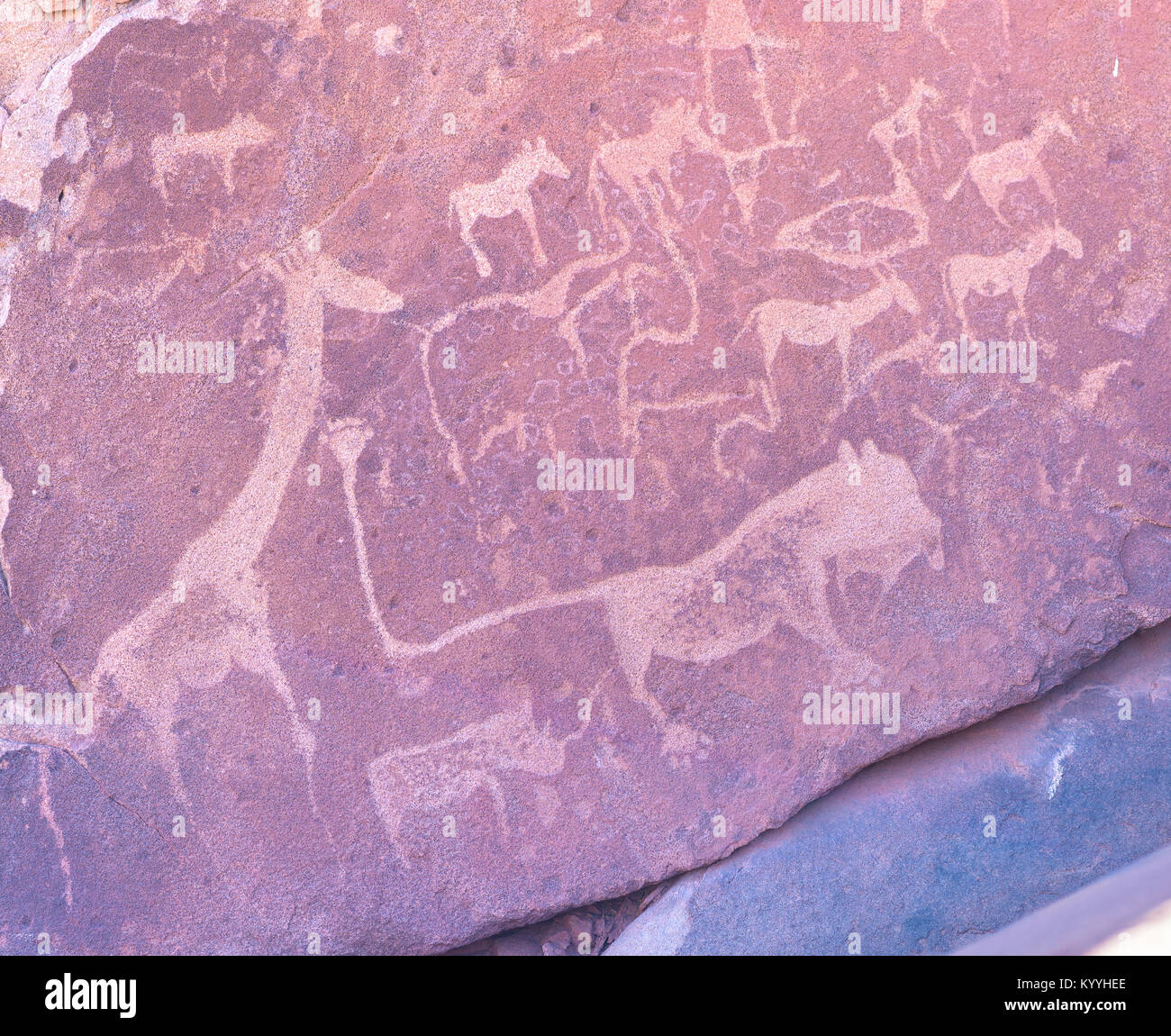 The famous prehistoric rock engravings at Twyfelfontein, tourist ...