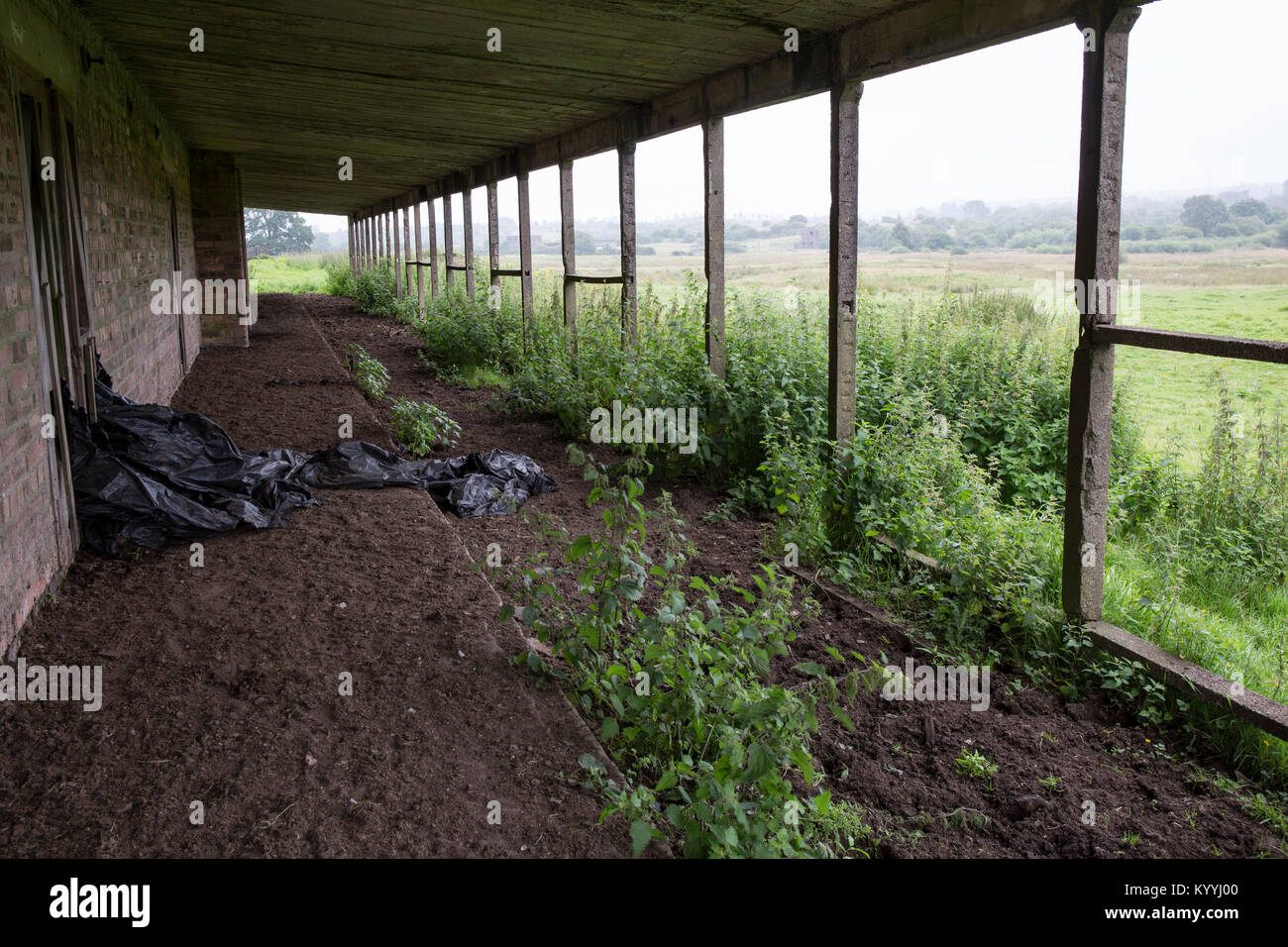 Rotting building bricks hi-res stock photography and images - Alamy