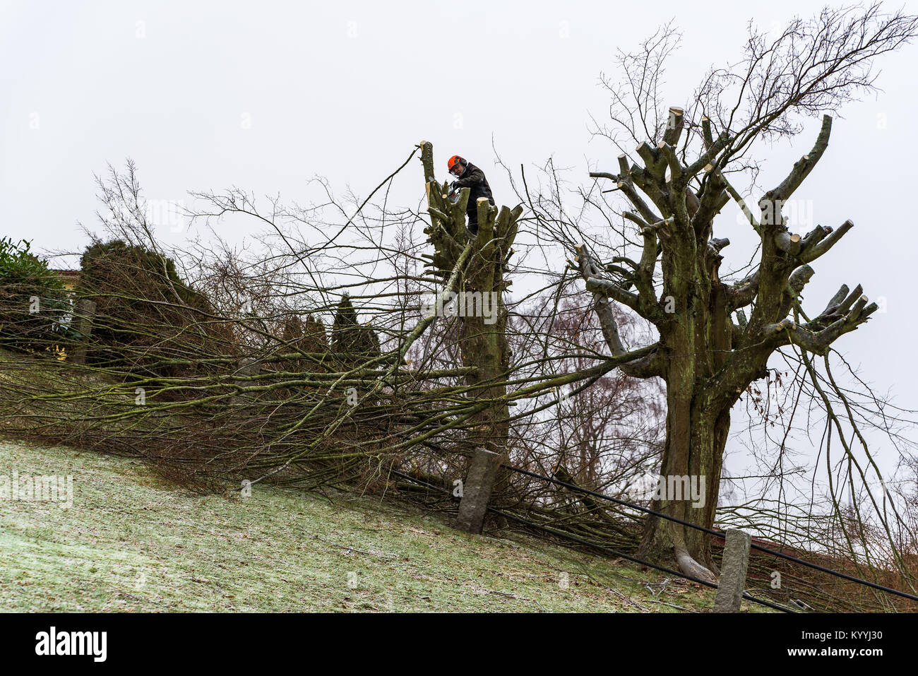 Morrum, Sweden - January 8, 2018: Documentary of everyday life and ...