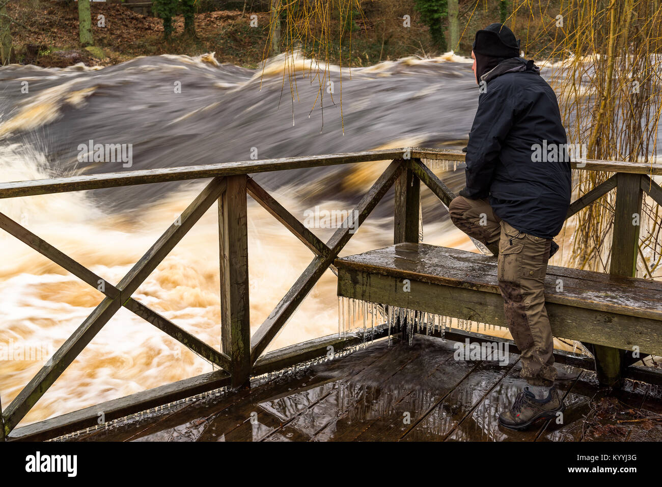 Male hiker looking at furious river from a wooden bench on a balcony ...