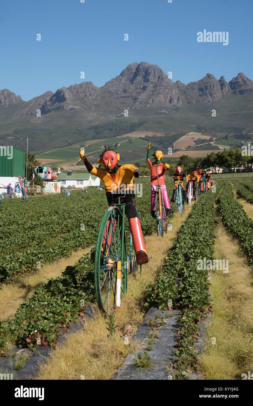 South african scarecrow hi-res stock photography and images - Alamy