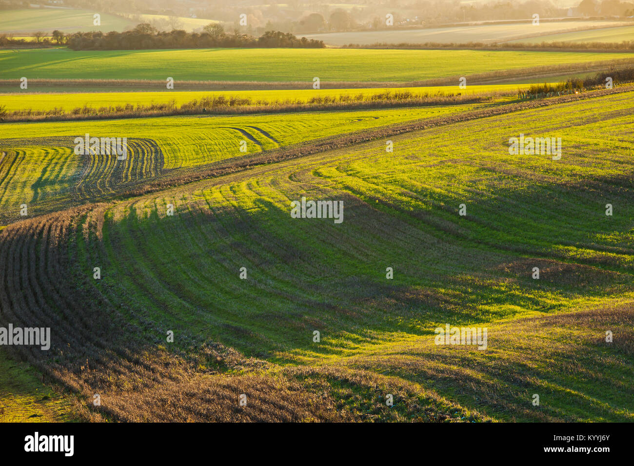 Winter afternoon in South Downs National Park, West Sussex, England ...