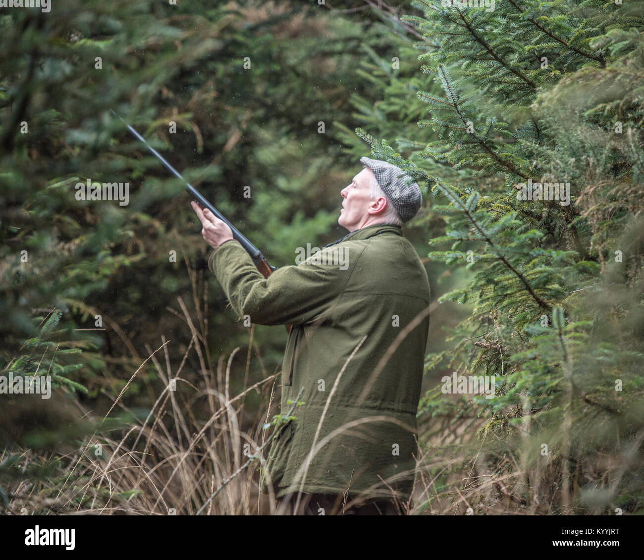 man shooting in the forest with a shotgun Stock Photo - Alamy
