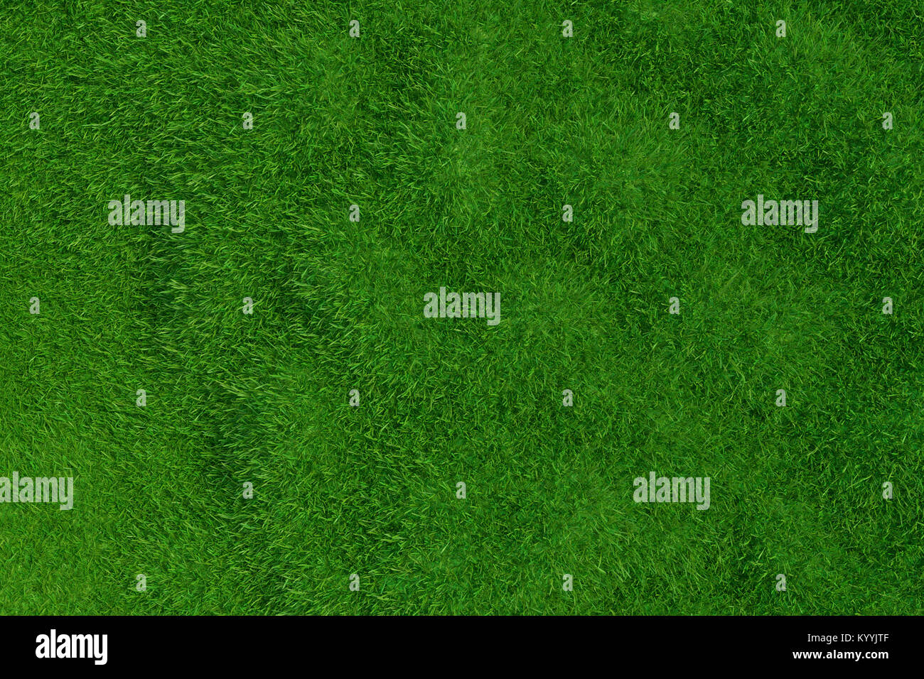 Green grass background. Natural background. Top view. 3d rendering ...