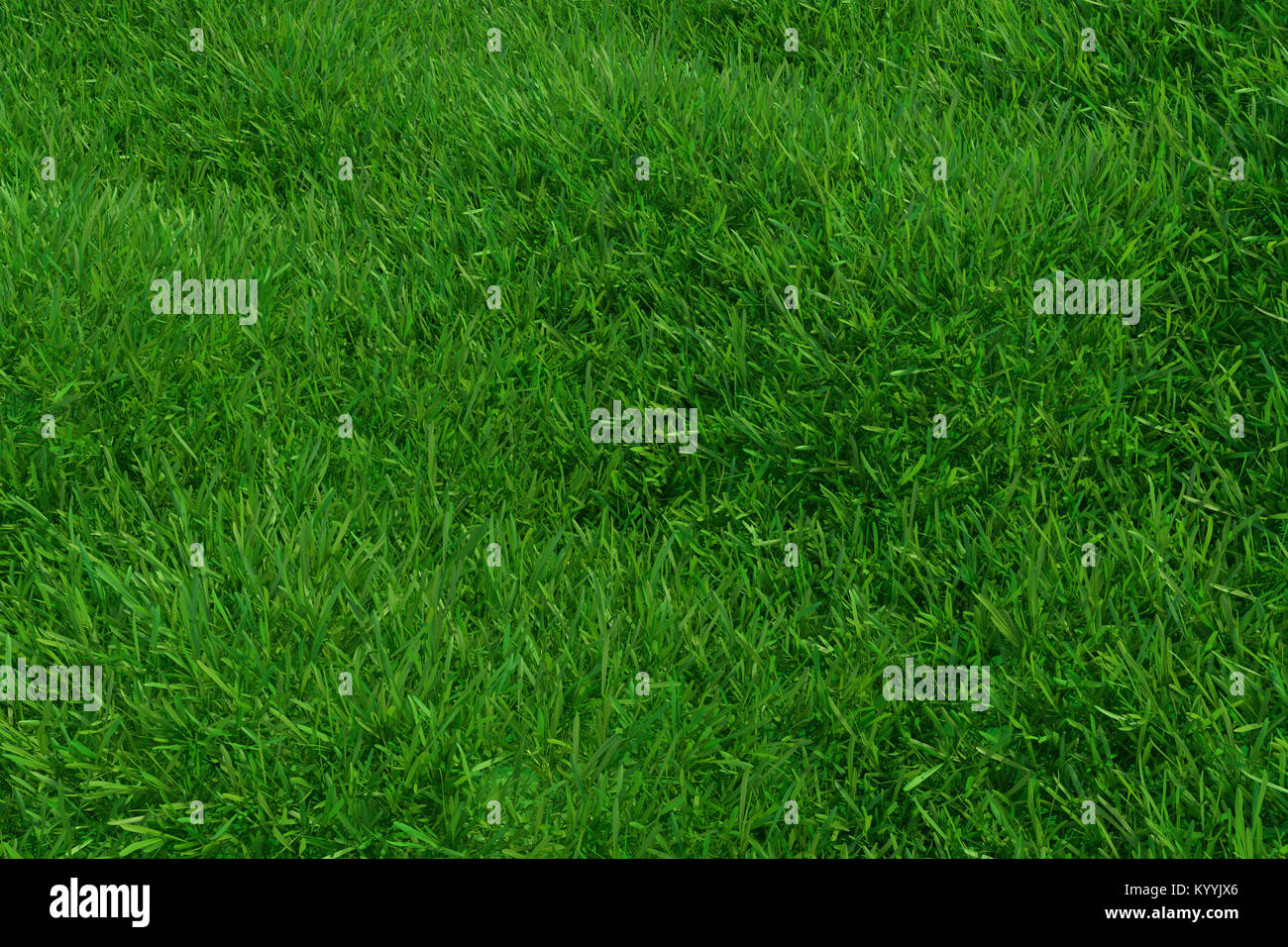 Natural grass texture pattern background. Top view grassy lawn for ...