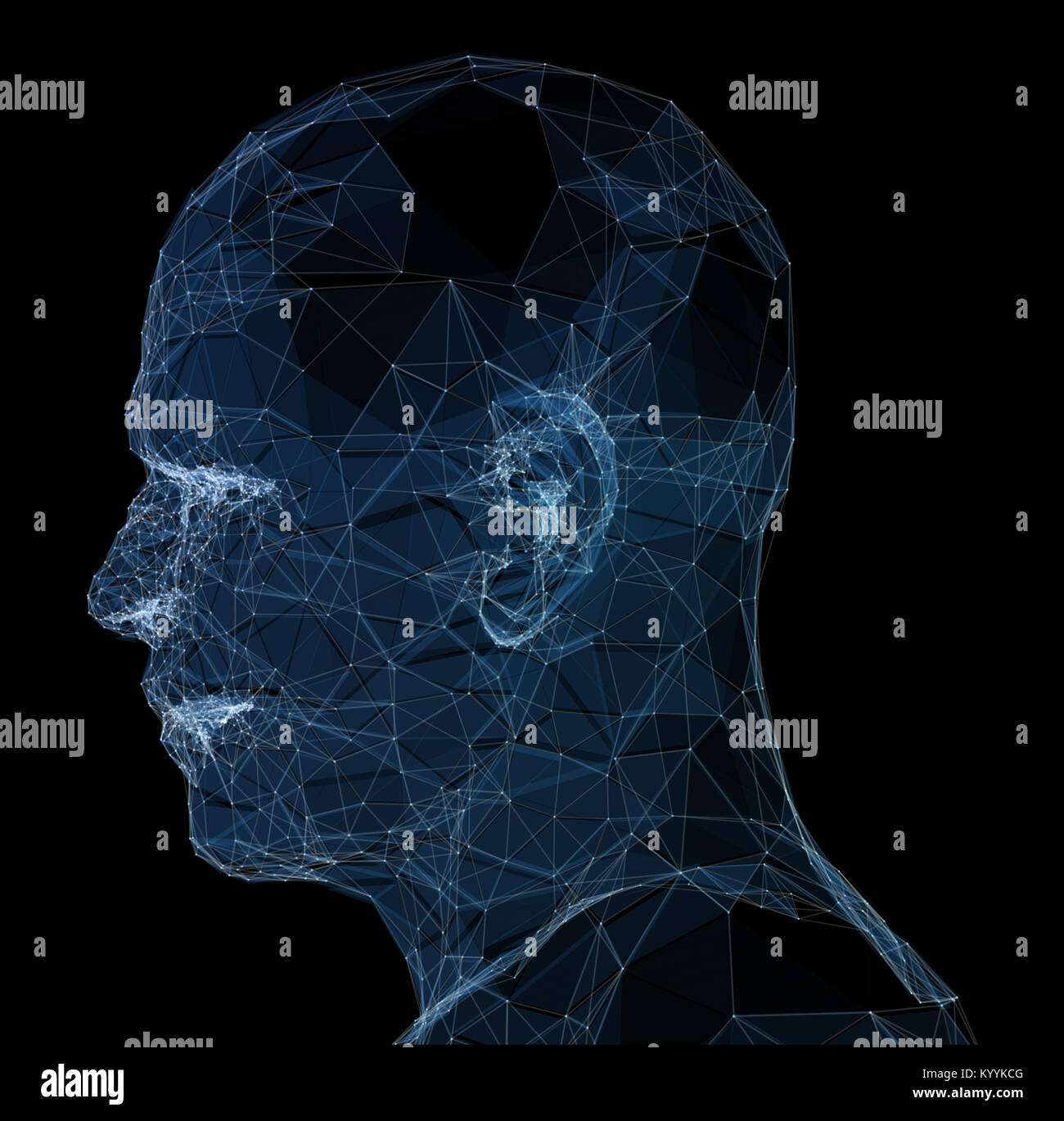 Human Brain Contour Line Art High Resolution Stock Photography and ...