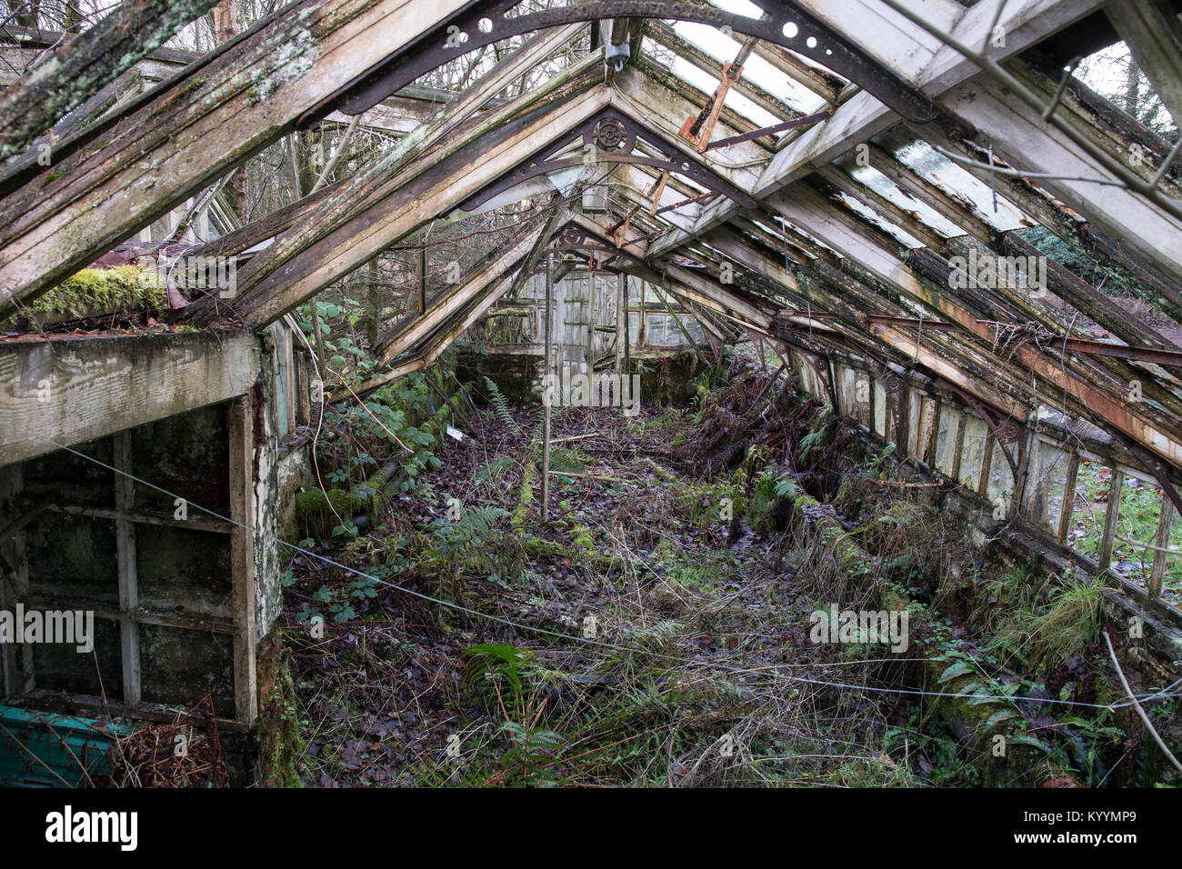 Rotting building bricks hi-res stock photography and images - Alamy