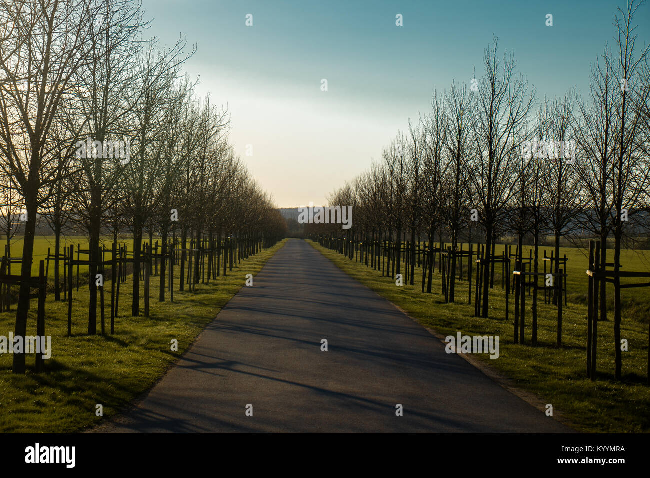 Alleyway In Swedish Countryside in early spring Stock Photo - Alamy