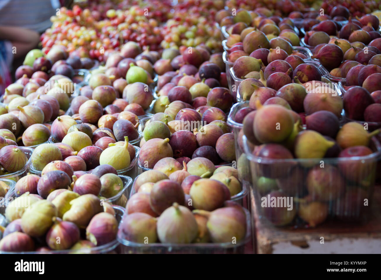 Carmel Market in Tel Aviv, Israel Stock Photo - Alamy