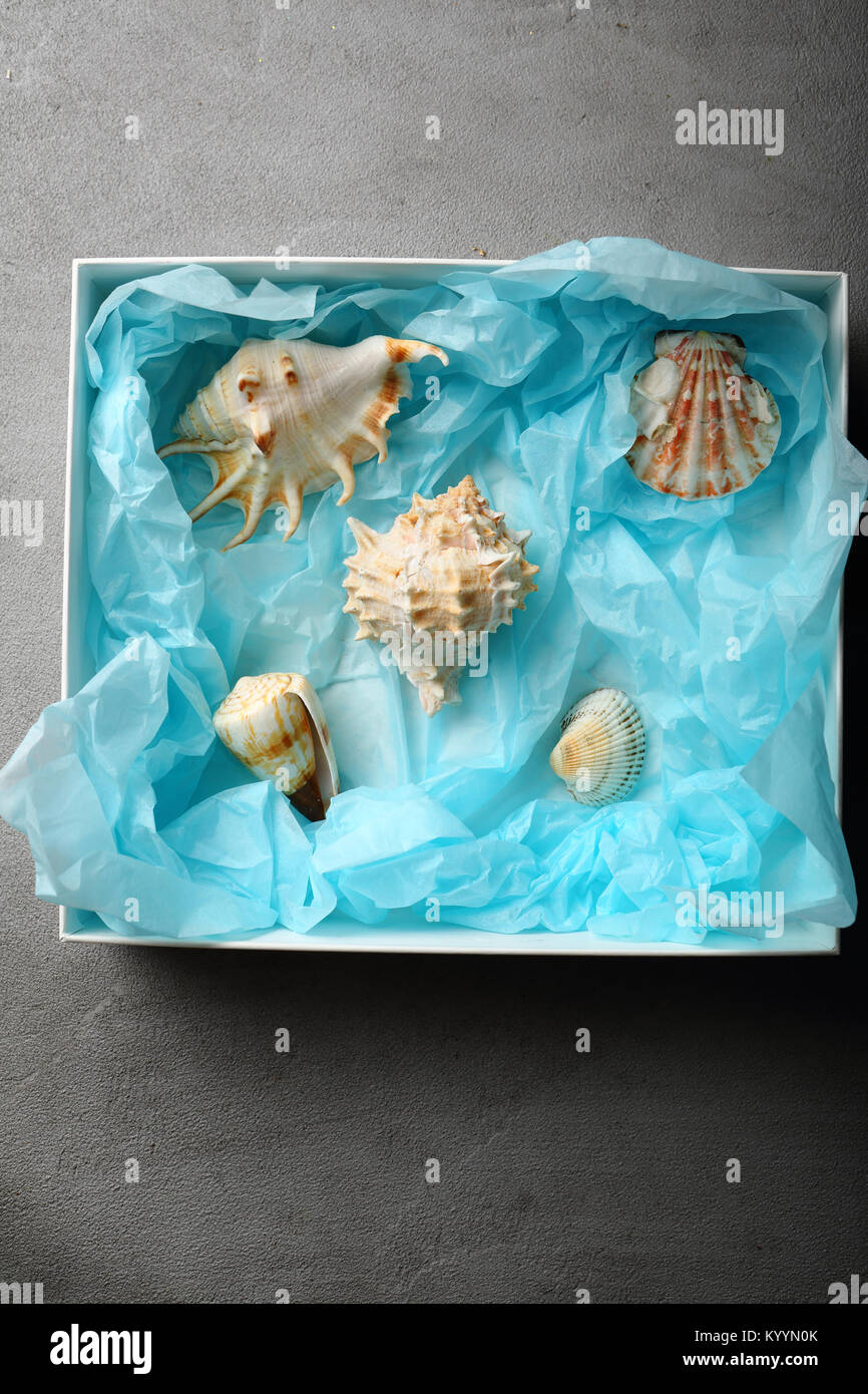 Seashells in box, holiday concept Stock Photo - Alamy