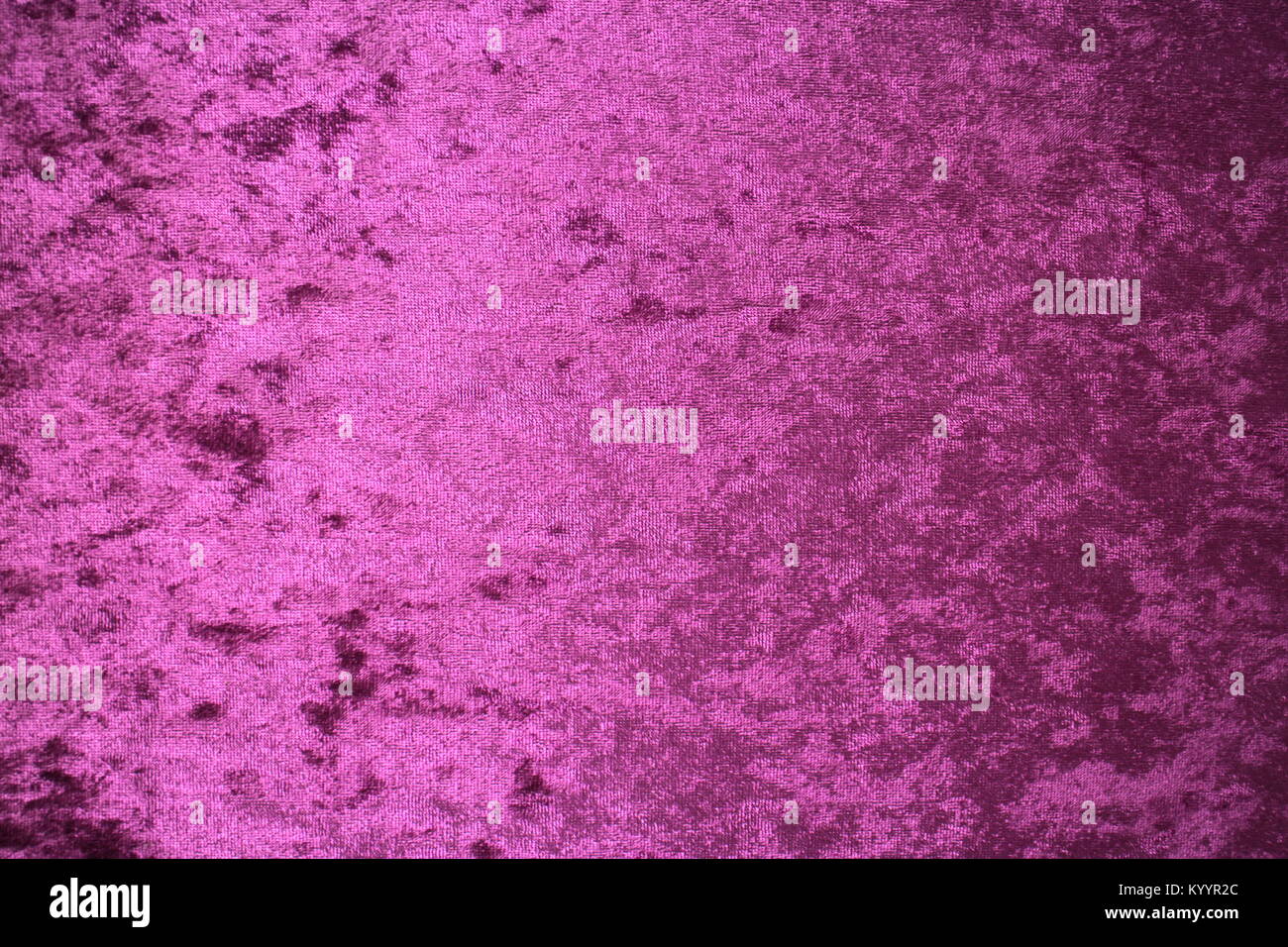 Purple velvet texture close-up Stock Photo - Alamy