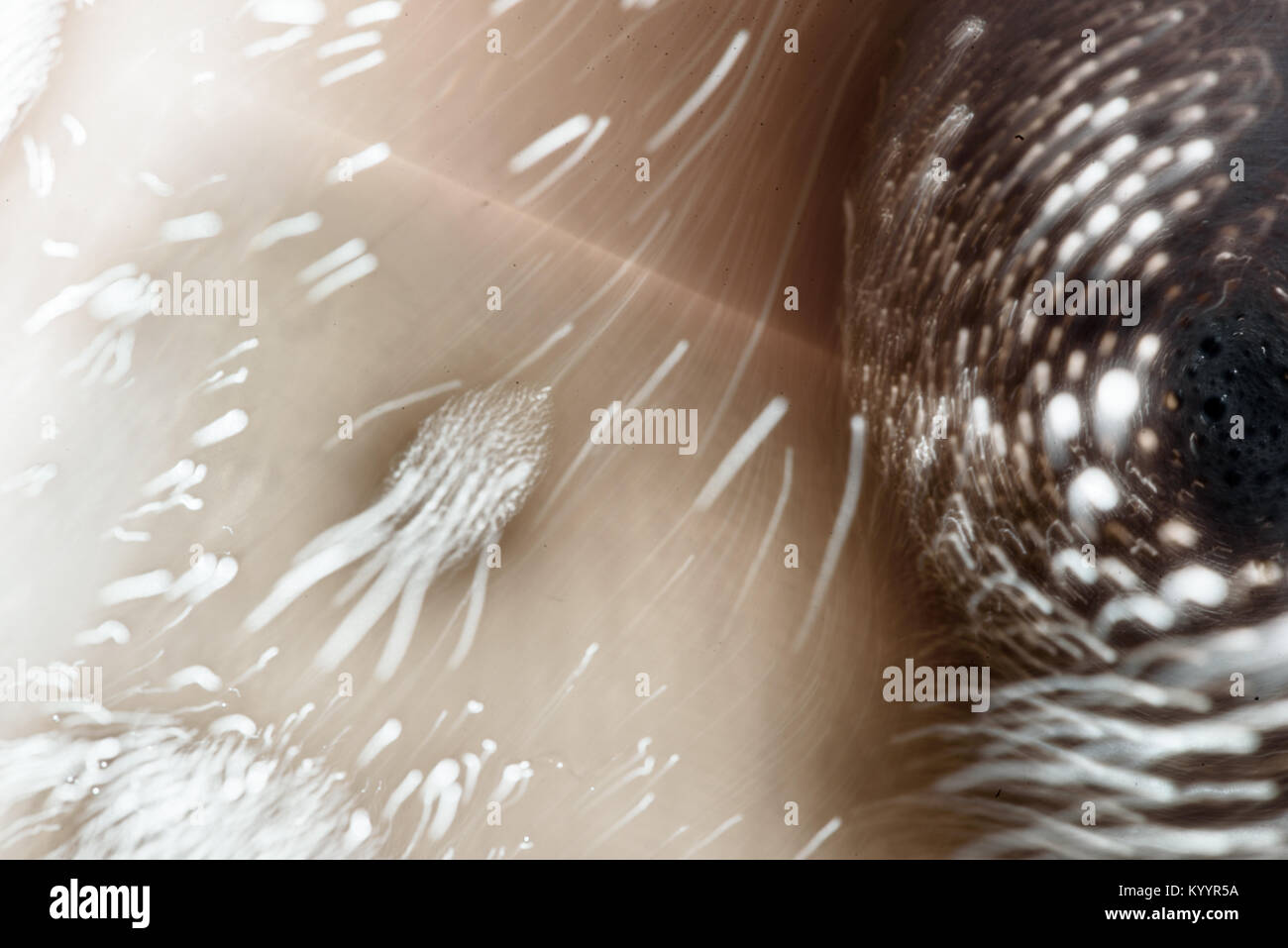 Leave me Blank do i write something here Stock Photo - Alamy