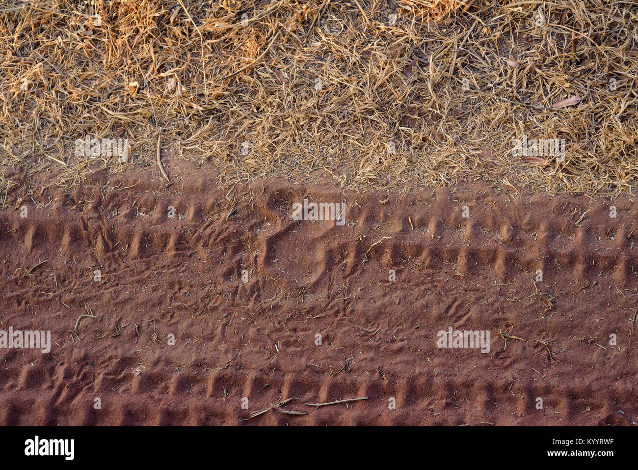 Fog dirt track india hi-res stock photography and images - Alamy