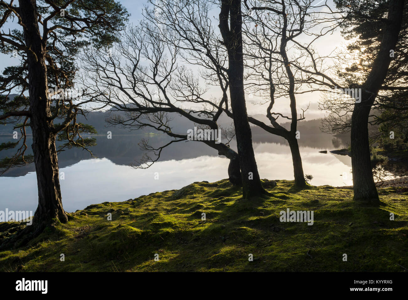 The shoreline of derwent water hi-res stock photography and images - Alamy