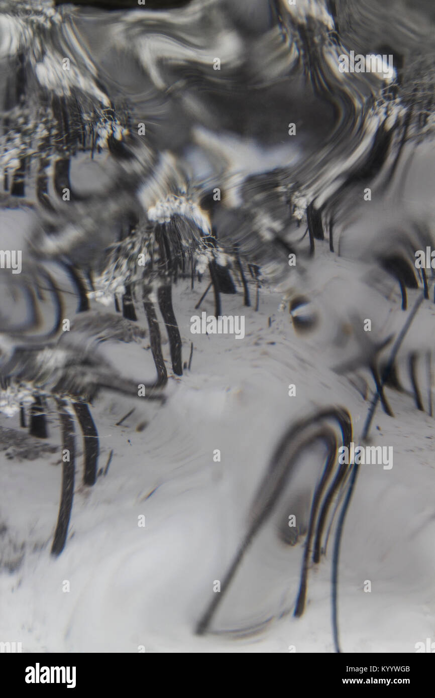 Hallucination hi-res stock photography and images - Alamy