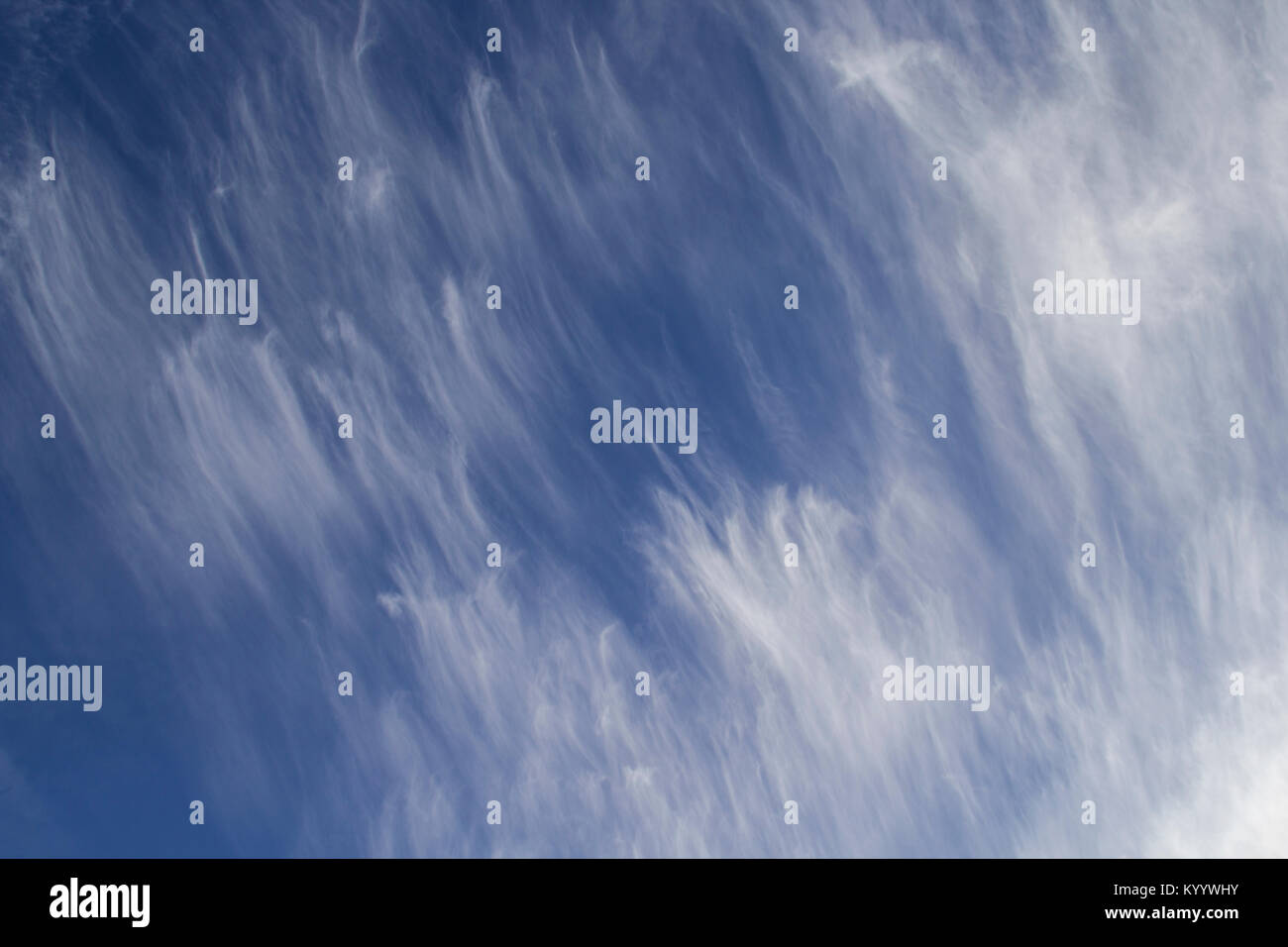 Cloud in the sky cirrus Stock Photo - Alamy
