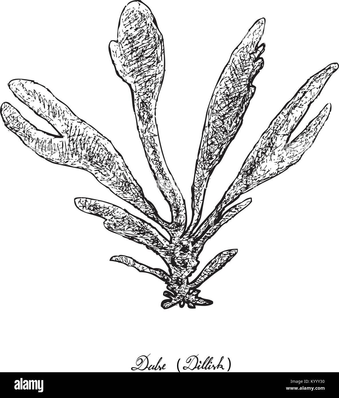 Seaweed flakes isolated Stock Vector Images - Alamy